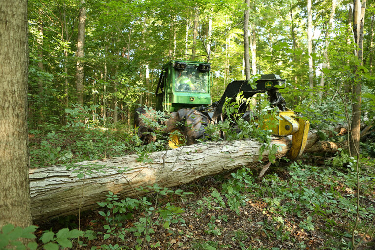 Buchan – Logging & Sawmill, Inc.